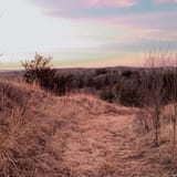 Loess Hills Ridge Trail, Iowa - 41 Reviews, Map | AllTrails