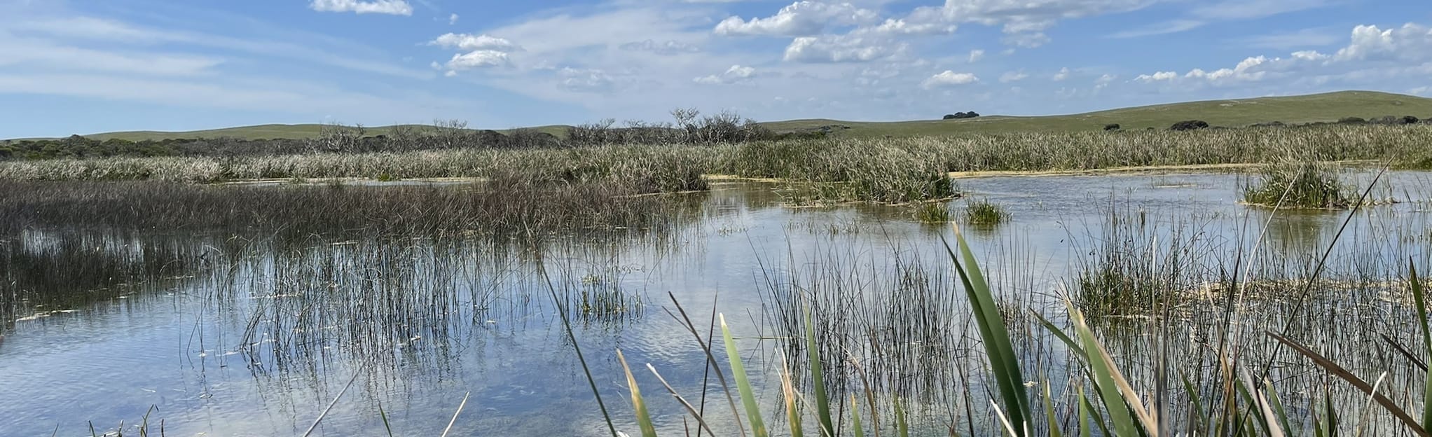 Piccaninnie Ponds Boardwalk: 13 Reviews, Map - South Australia ...