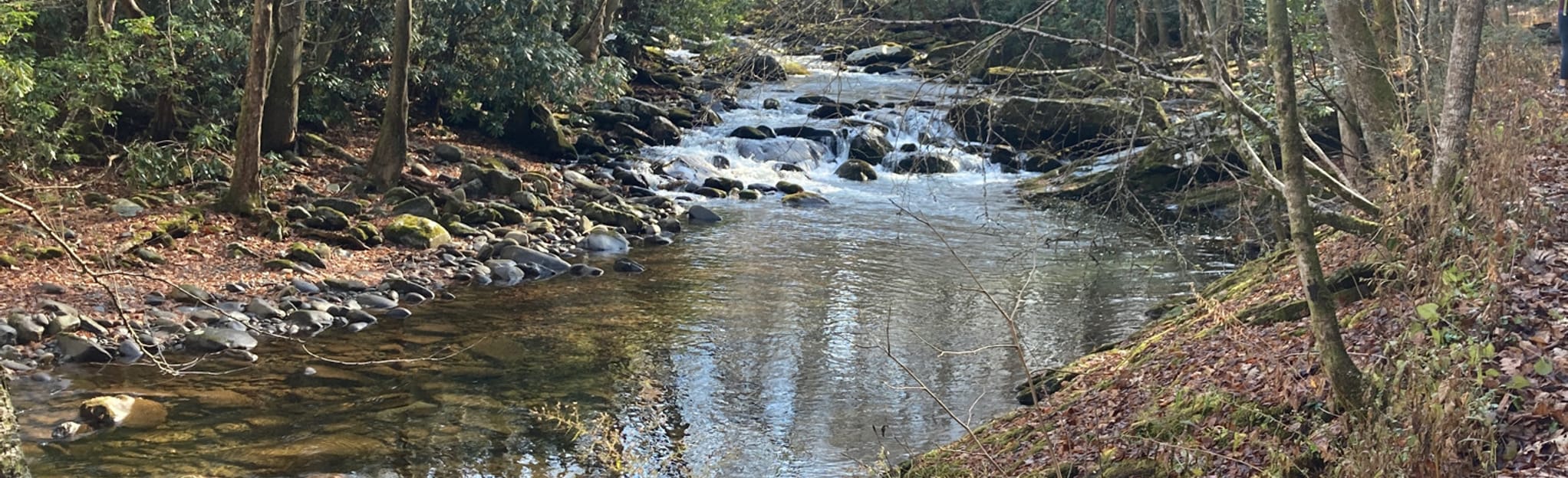 Cucumber Gap and Little River Loop Trail, Tennessee - 2,497 Reviews ...
