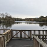 Ferry Meadows and River Nene Circular, Cambridgeshire, England - 133 ...