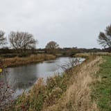 Ferry Meadows and River Nene Circular, Cambridgeshire, England - 133 ...
