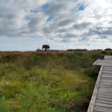 Kelly Hamby Trail, Texas - 35 Reviews, Map | AllTrails