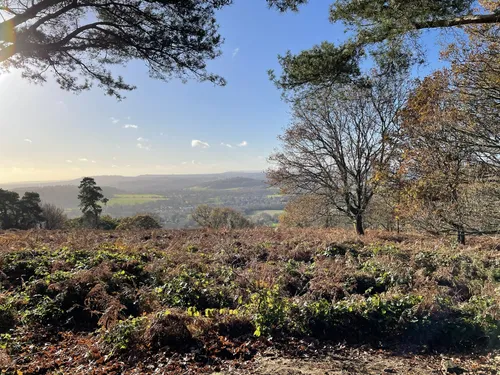 10 Best Lake Trails in Surrey Hills National Landscape (AONB) | AllTrails