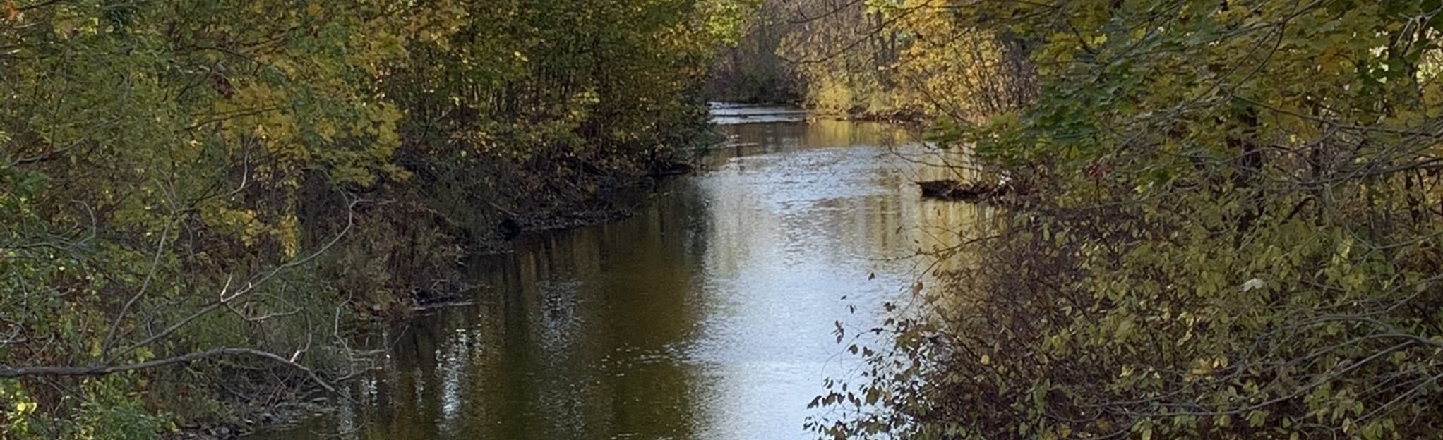 Brock Trail: Waterfront to MacJohnson Wildlife Area, Ontario, Canada ...