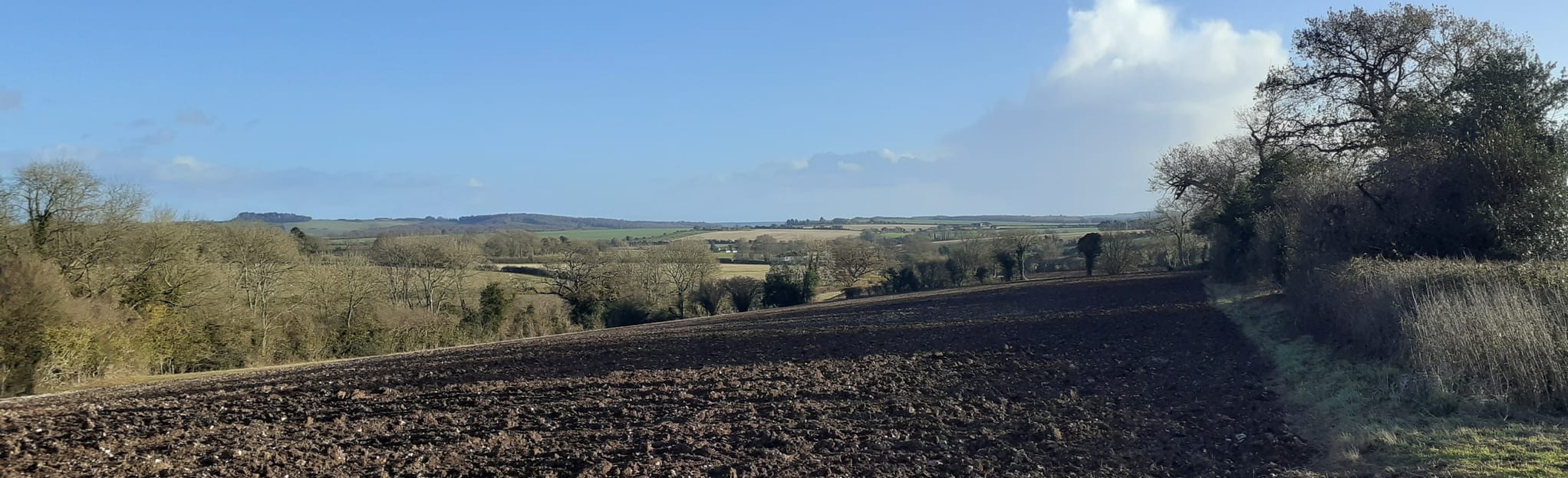 Sixpenny Handley and Garston Woods Circular, Dorset, England - 13 ...