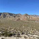 Mormon Rocks Interpretive Trail, California - 239 Reviews, Map | AllTrails