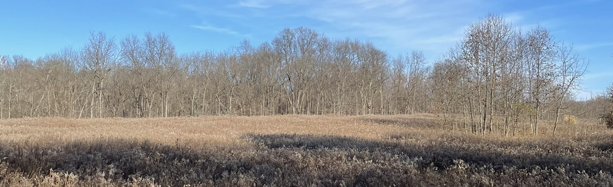 Dripping Rock, Overlook and Big Meadows Loop: 1199 Reviews, Map - Ohio ...