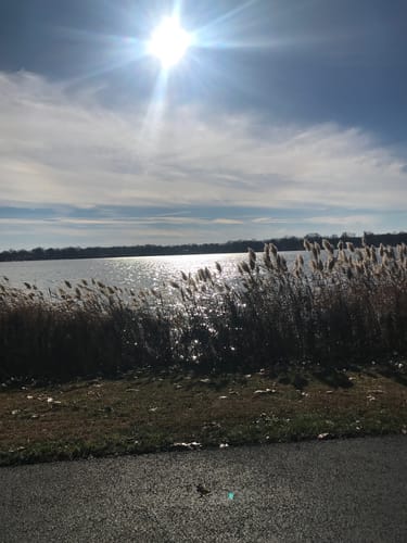 Best Hikes and Trails in Springfield Lake Park | AllTrails