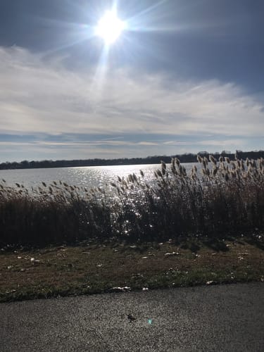 Best Hikes and Trails in Springfield Lake Park | AllTrails