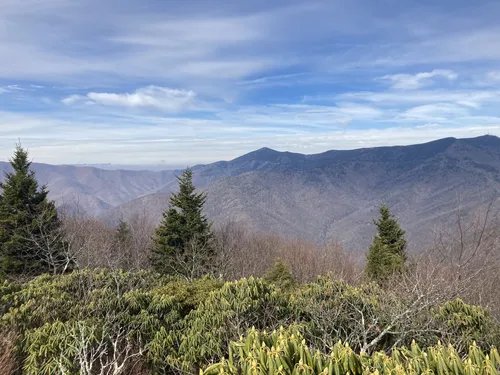 10 Best Trails and Hikes in Black Mountain | AllTrails
