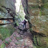 Tanbark Trail, Pennsylvania - 141 Reviews, Map | AllTrails