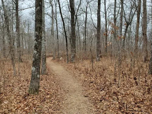 10 Best Hikes and Trails in Mount Magazine State Park | AllTrails