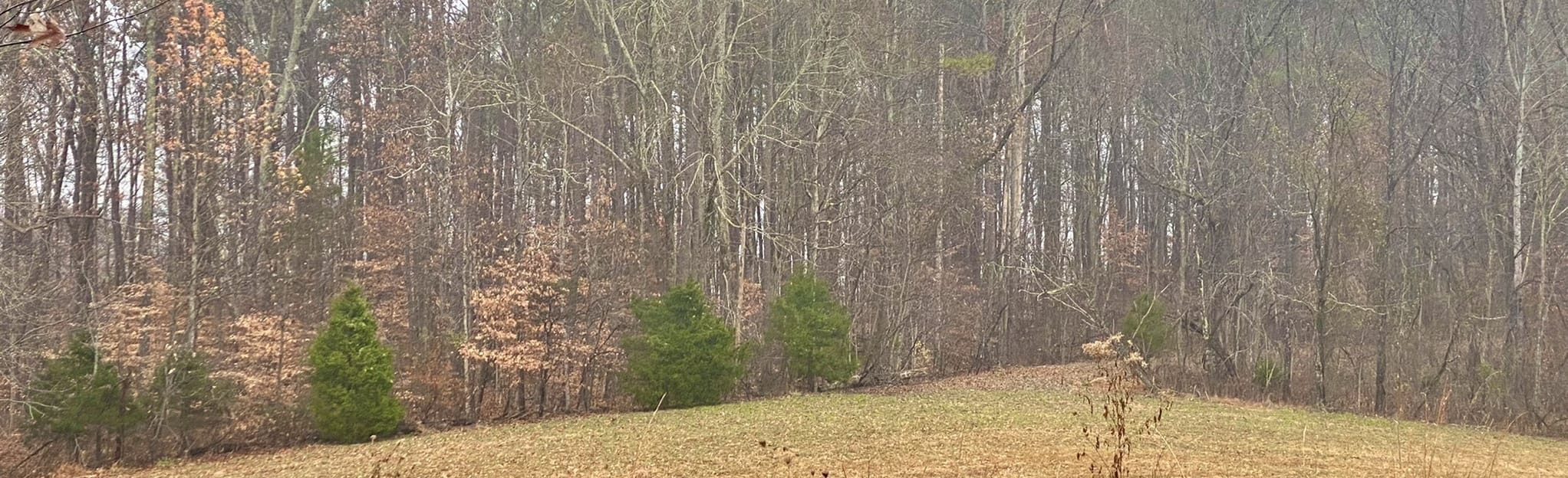 Natchez Trace National Scenic Trail: Highland Rim via Fly Trailhead: 36 ...