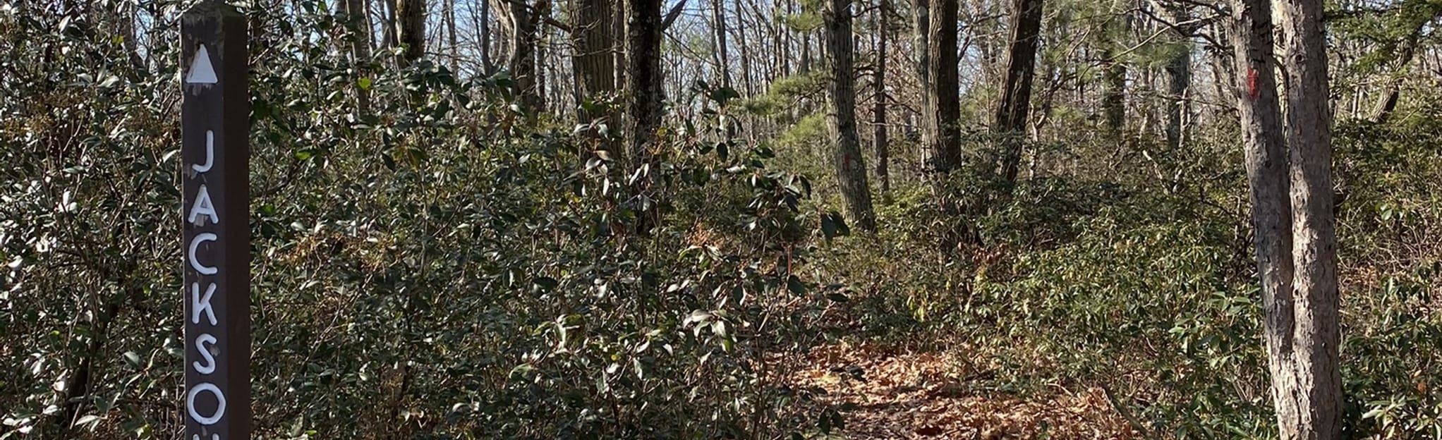 Jackson Trail, Pennsylvania - 2 Reviews, Map | AllTrails