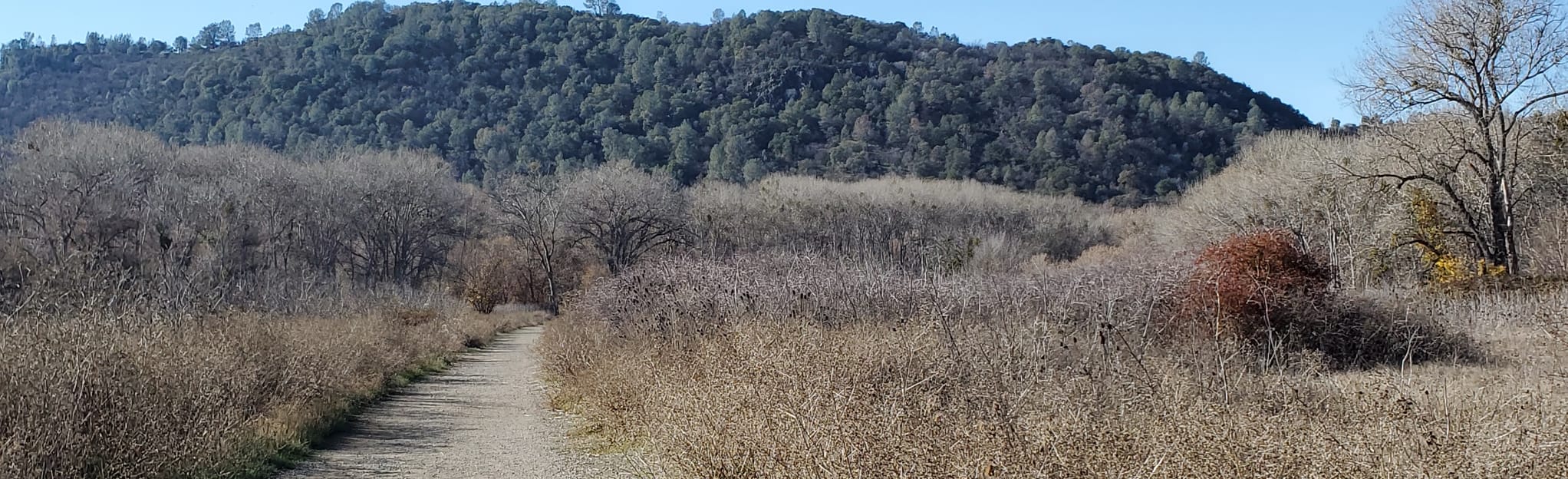 North Flat Trail: 13 Reviews, Map - California | AllTrails