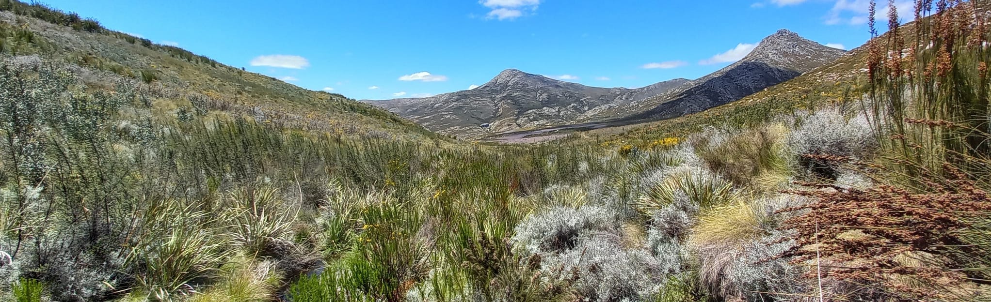 Albertberg Peak, Western Cape, South Africa - 3 Reviews, Map | AllTrails