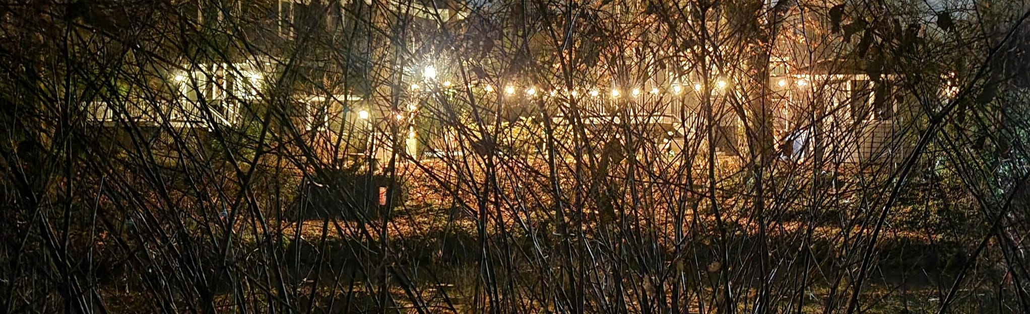 Hampton and McConnell Park Loop, New Jersey - 10 Reviews, Map | AllTrails