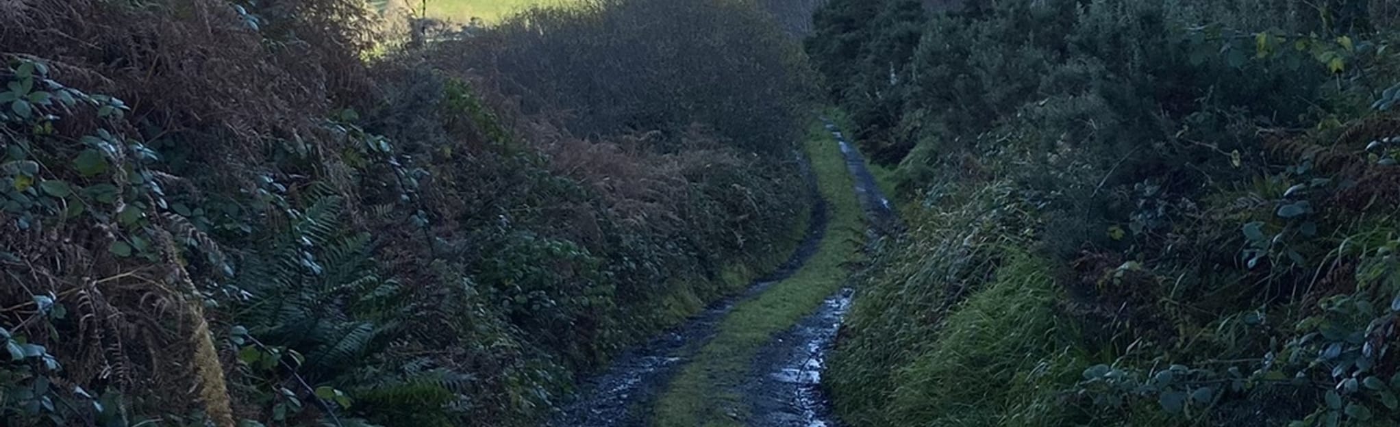 Kiltimagh and Slieve Can Circular, County Mayo, Ireland - 10 Reviews ...