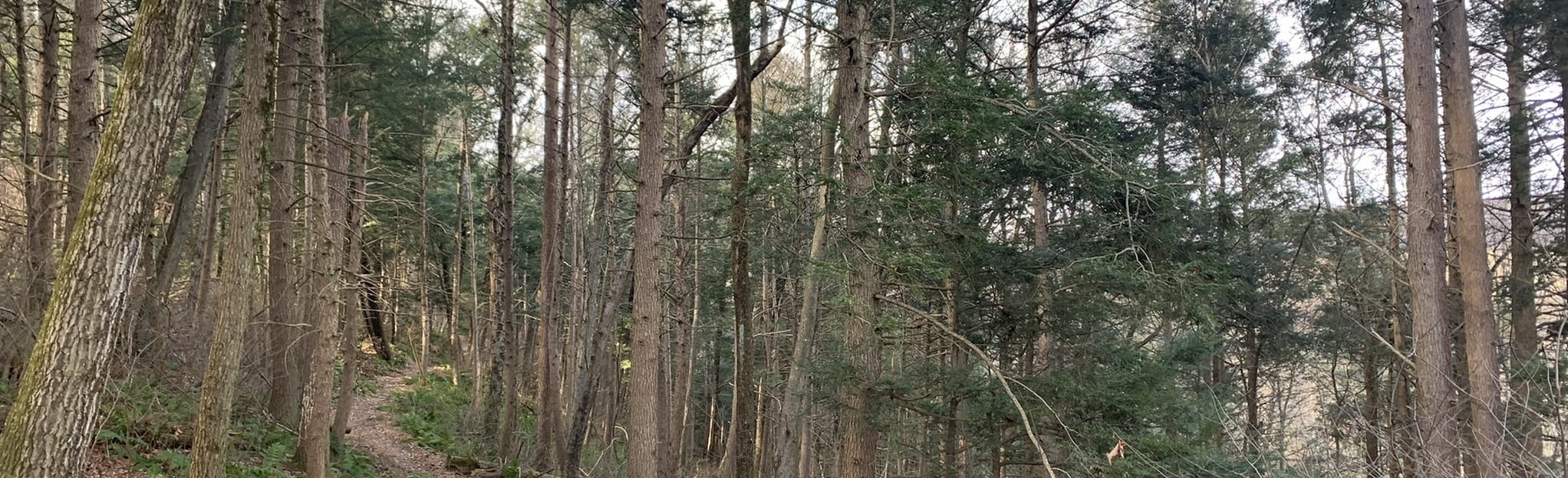 Swatara State Park Loop - Pennsylvania | AllTrails