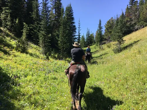 10 Best Hikes and Trails in South Chilcotin Mountains Provincial Park ...