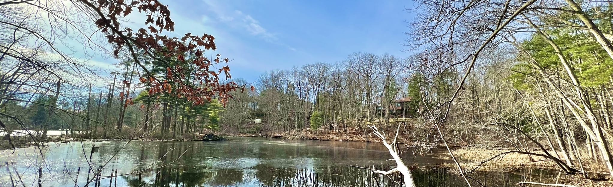 Hamlen Woods via Mainstone Farm Reservation: 562 Reviews, Map ...