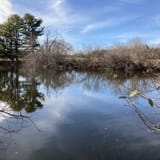 Chase Farm, Rhode Island - 219 Reviews, Map | AllTrails