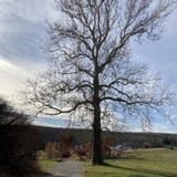 Chase Farm, Rhode Island - 219 Reviews, Map | AllTrails