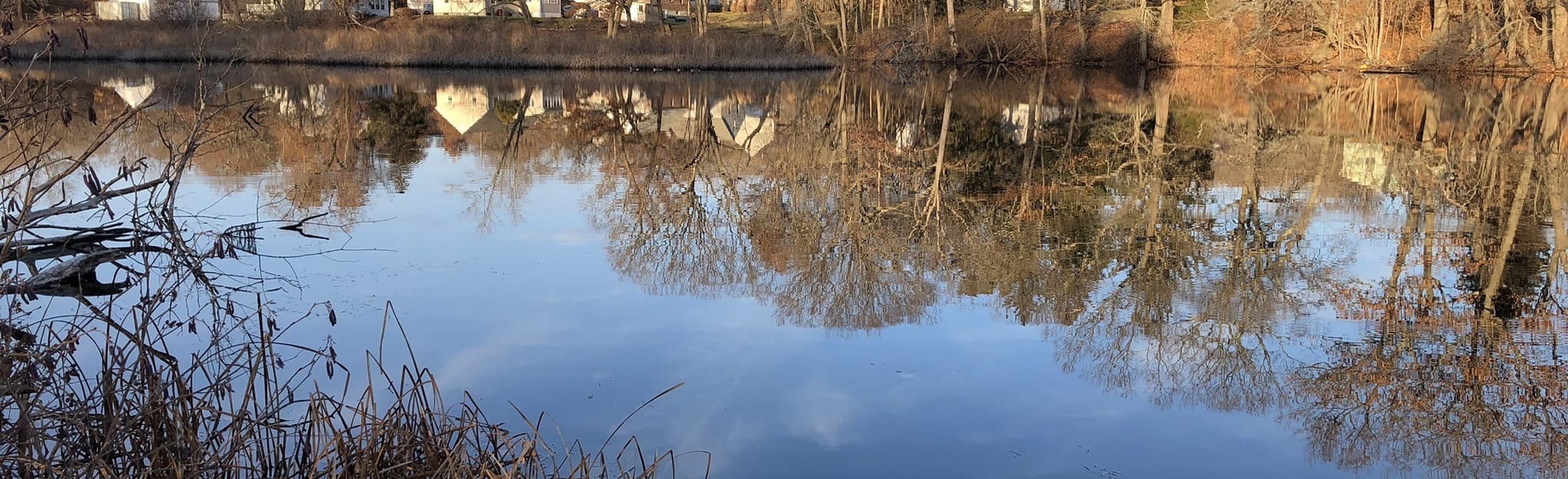 Cricket Field, Rhode Island - 15 Reviews, Map | AllTrails