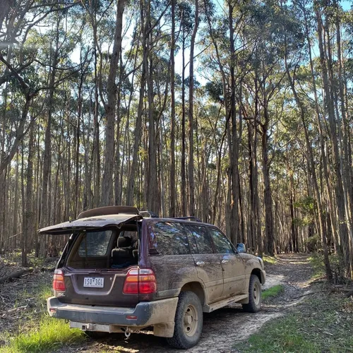 10 Best Off Road Driving Trails in Victoria | AllTrails
