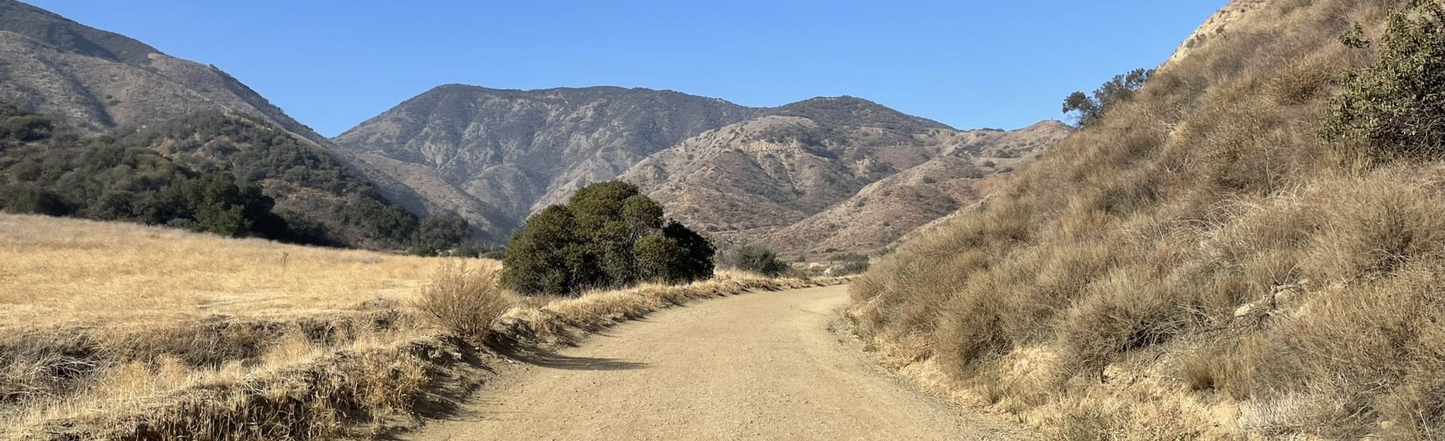 Modjeska and Santiago Peaks via Skyline and Indian Truck Trail ...