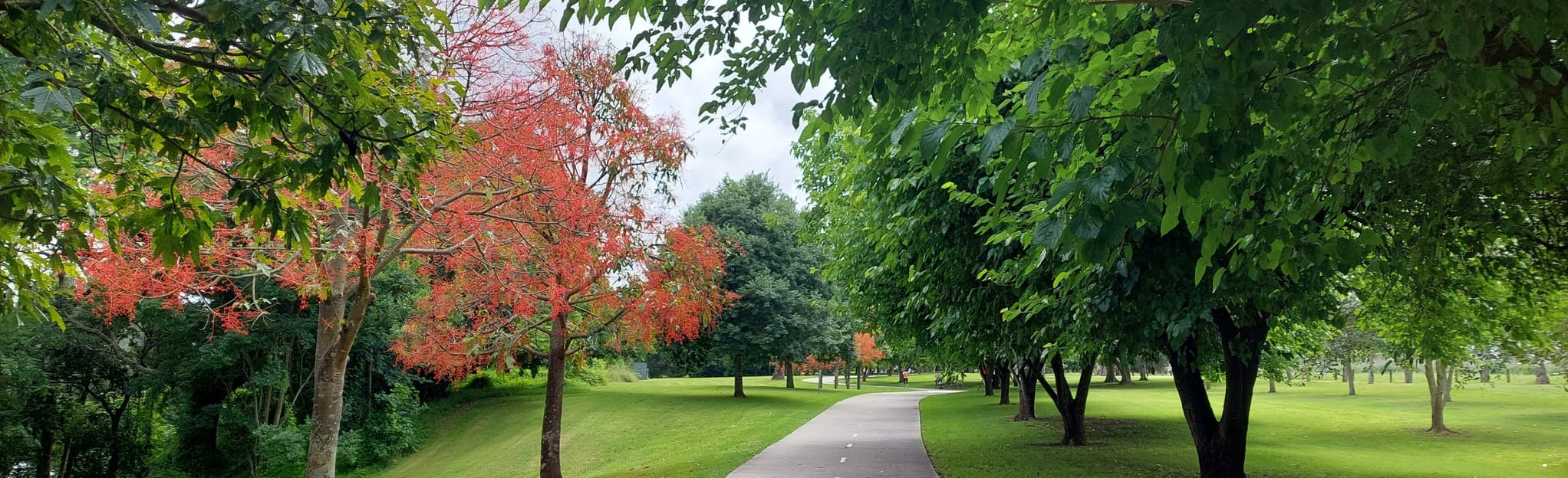 Nepean River Loop via Great River Walk, New South Wales, Australia ...
