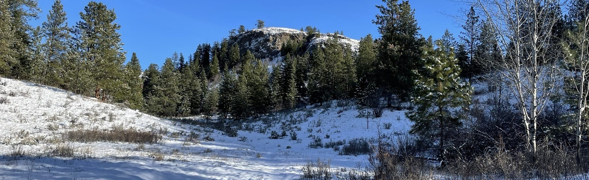 Observatory Loop: 6 Reviews, Map - British Columbia, Canada | AllTrails