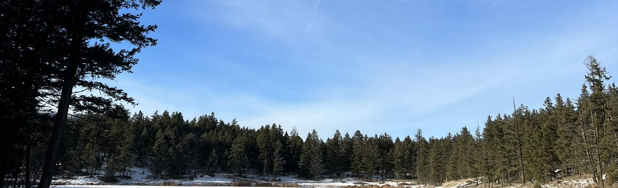 Inks Loop, British Columbia, Canada - 10 Reviews, Map | AllTrails