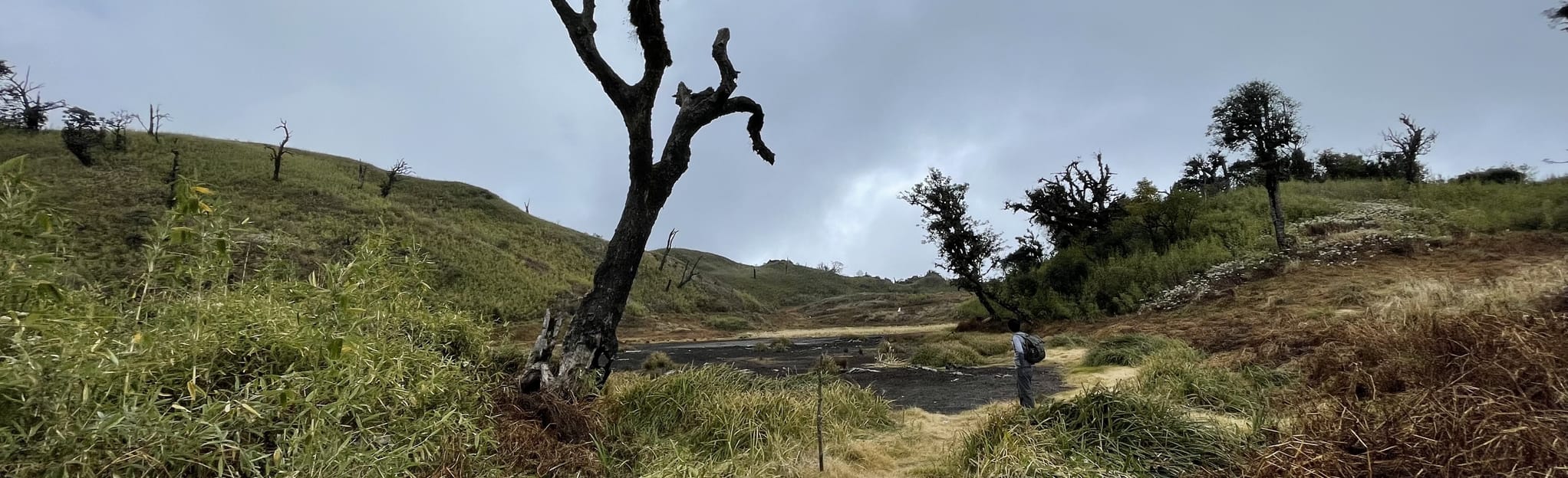 Mt. Koubru Trail: 2 Reviews, Map - Manipur, India | AllTrails