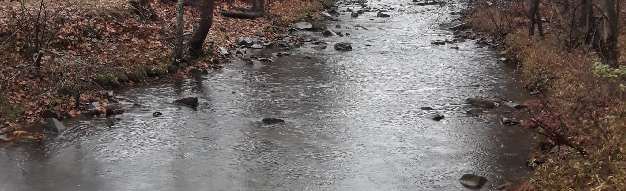 Pig Iron Loop: 28 Reviews, Map - Alabama | AllTrails