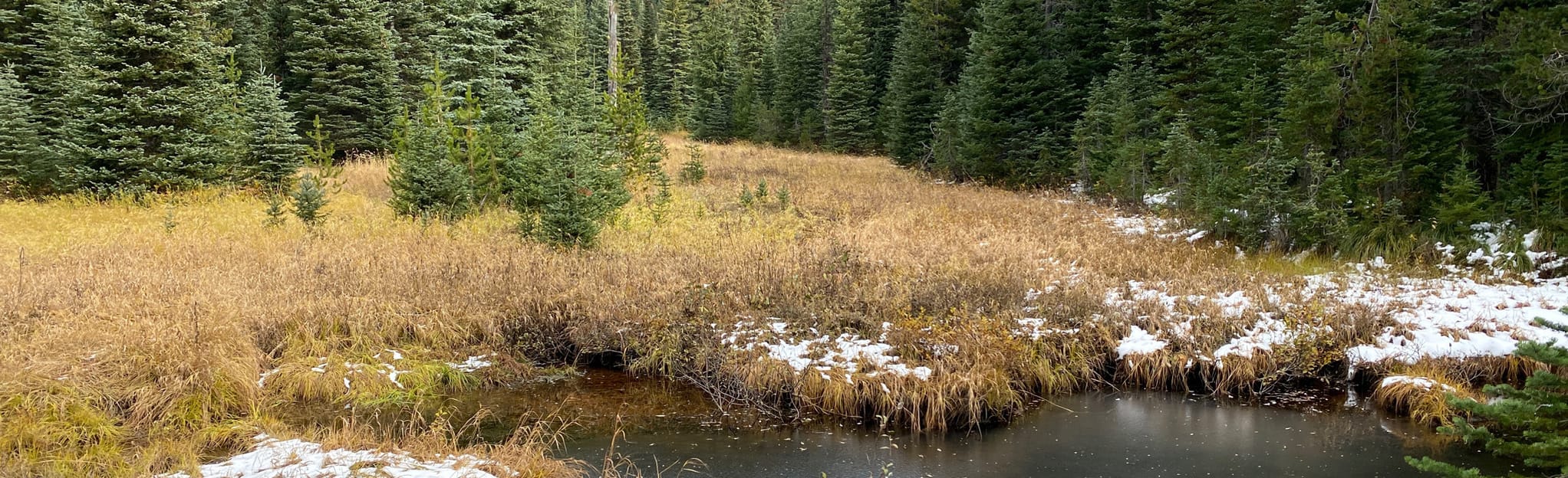 Walupt Lake Trail: 55 Reviews, Map - Washington | AllTrails