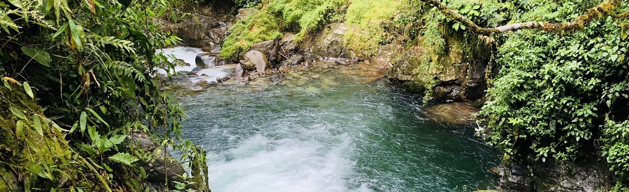 Waterfall Trail - Memorial Garden | Map, Guide - San José, Costa Rica ...