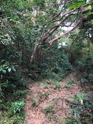 2023 Best Backpacking Trails in Mount Palay - Palay National Park ...