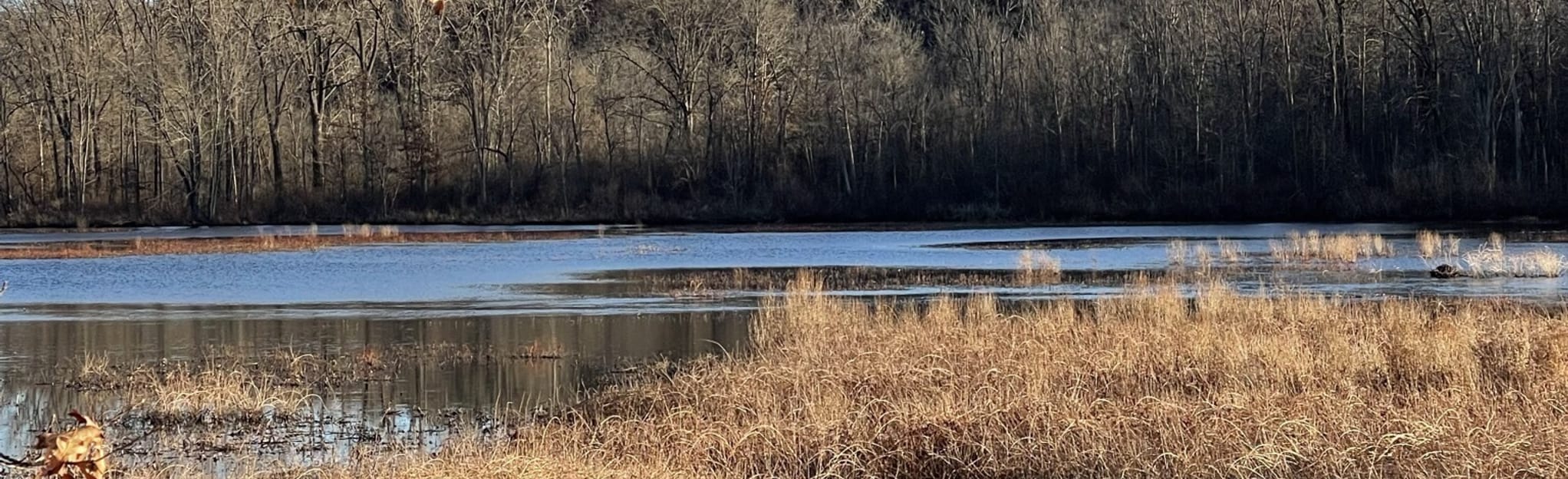 Sharon Hollow Preserve Full Trail [CLOSED], Michigan - 71 Reviews, Map ...