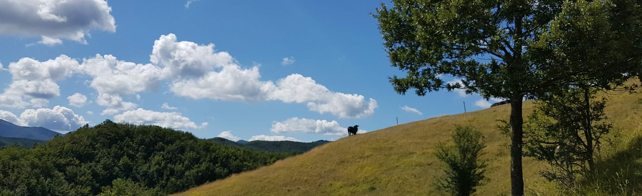 Eremo dei Toschi - Fiera dei Poggi via Osteria: 3 Fotos - Toskana ...