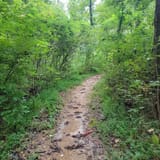 Natchez Trace: Blackland Prairie Section, Mississippi - 124 Reviews ...