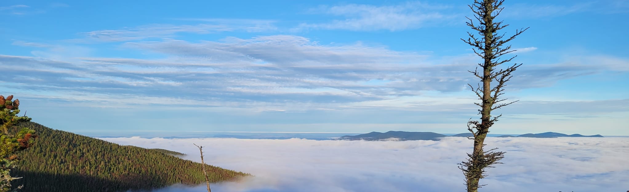 Howker Ridge Trail, New Hampshire - 139 Reviews, Map | AllTrails