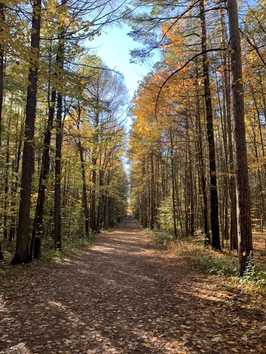 10 Best Hikes and Trails in Durham Regional Forest | AllTrails