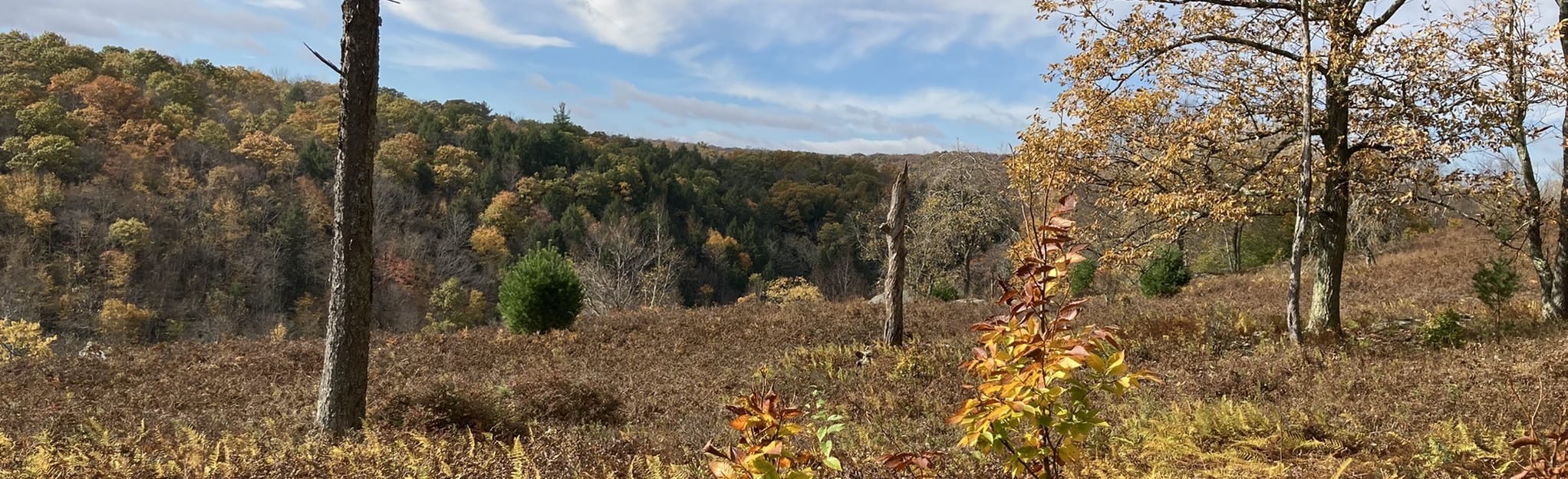 Sand Spring, Fireline, and Skyline Trail: 127 Reviews, Map ...