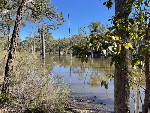 2023 Best 10 Trails in Paruna Wildlife Sanctuary | AllTrails