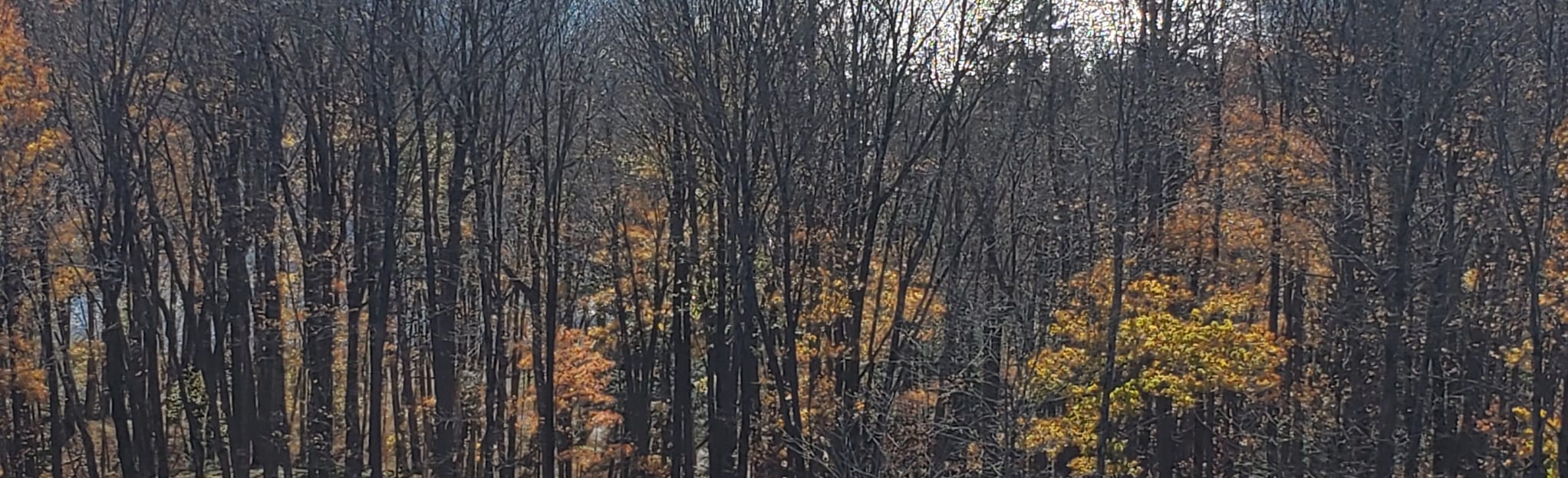 Timms Hill Green Trail: Wisconsin Highpoint, Wisconsin - 218 Reviews ...