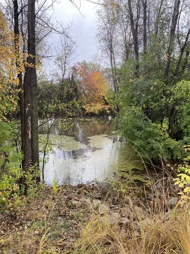 Best Hikes and Trails in Theodore Wirth Park | AllTrails
