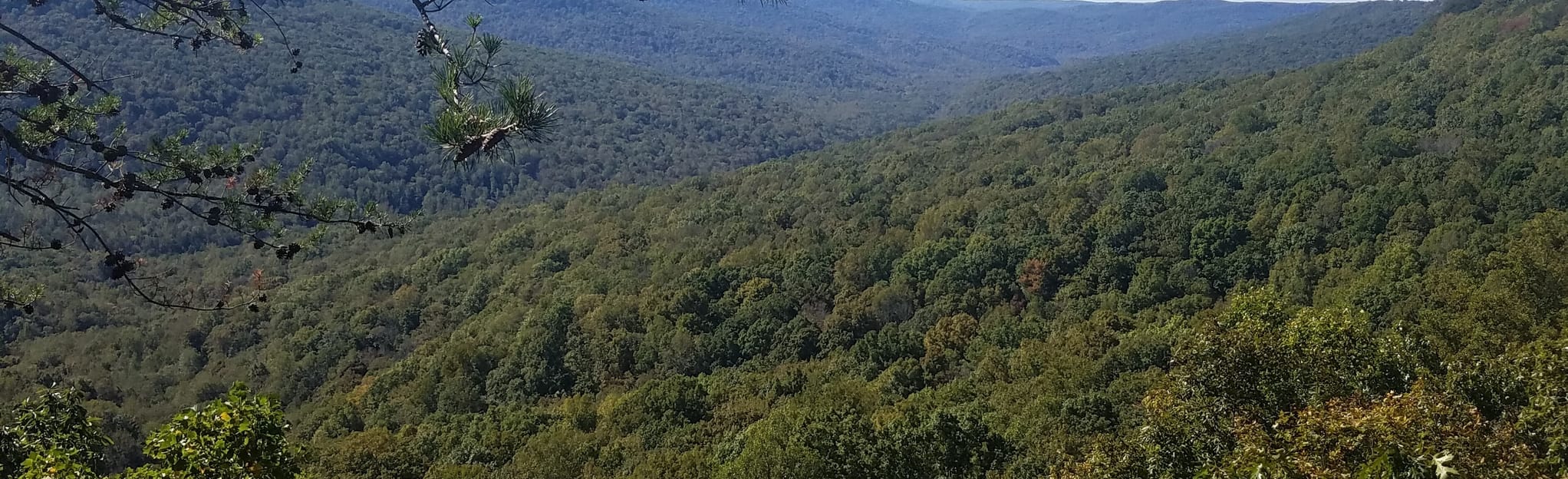 Martha's Pretty Point Overlook via Virgin Falls Trail, Tennessee - 284 ...