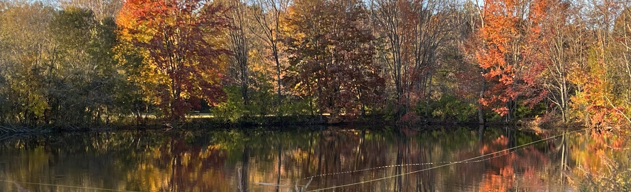 Stringham Park Loop: 17 foto's - New York | AllTrails