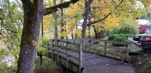 Best Hikes and Trails in Monteith River Park | AllTrails